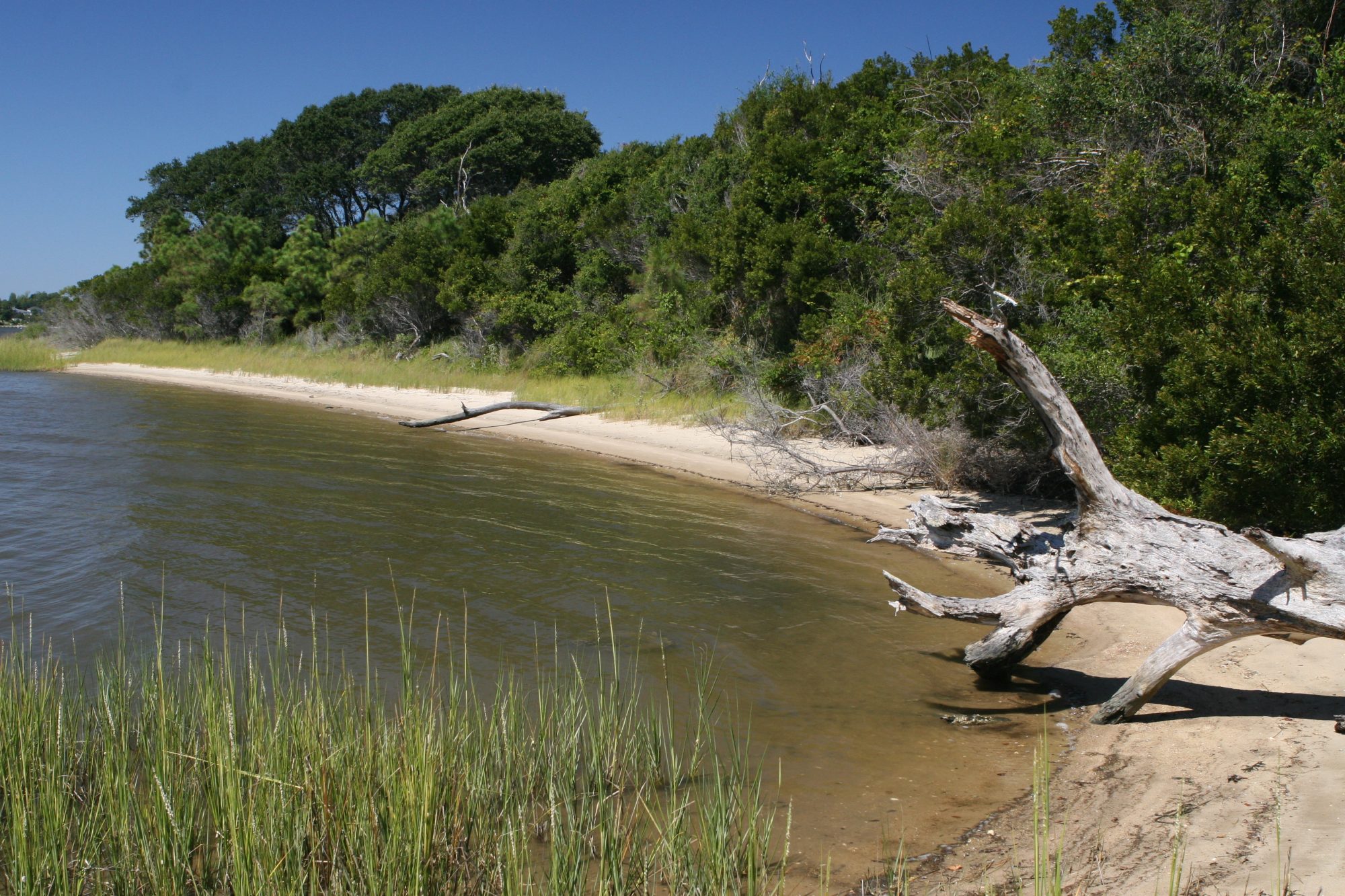Jones Island Fact Sheet | North Carolina Coastal Federation