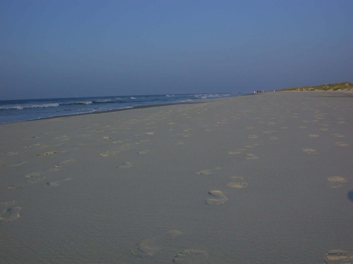 The Bird Island Coastal Reserve | North Carolina Coastal Federation