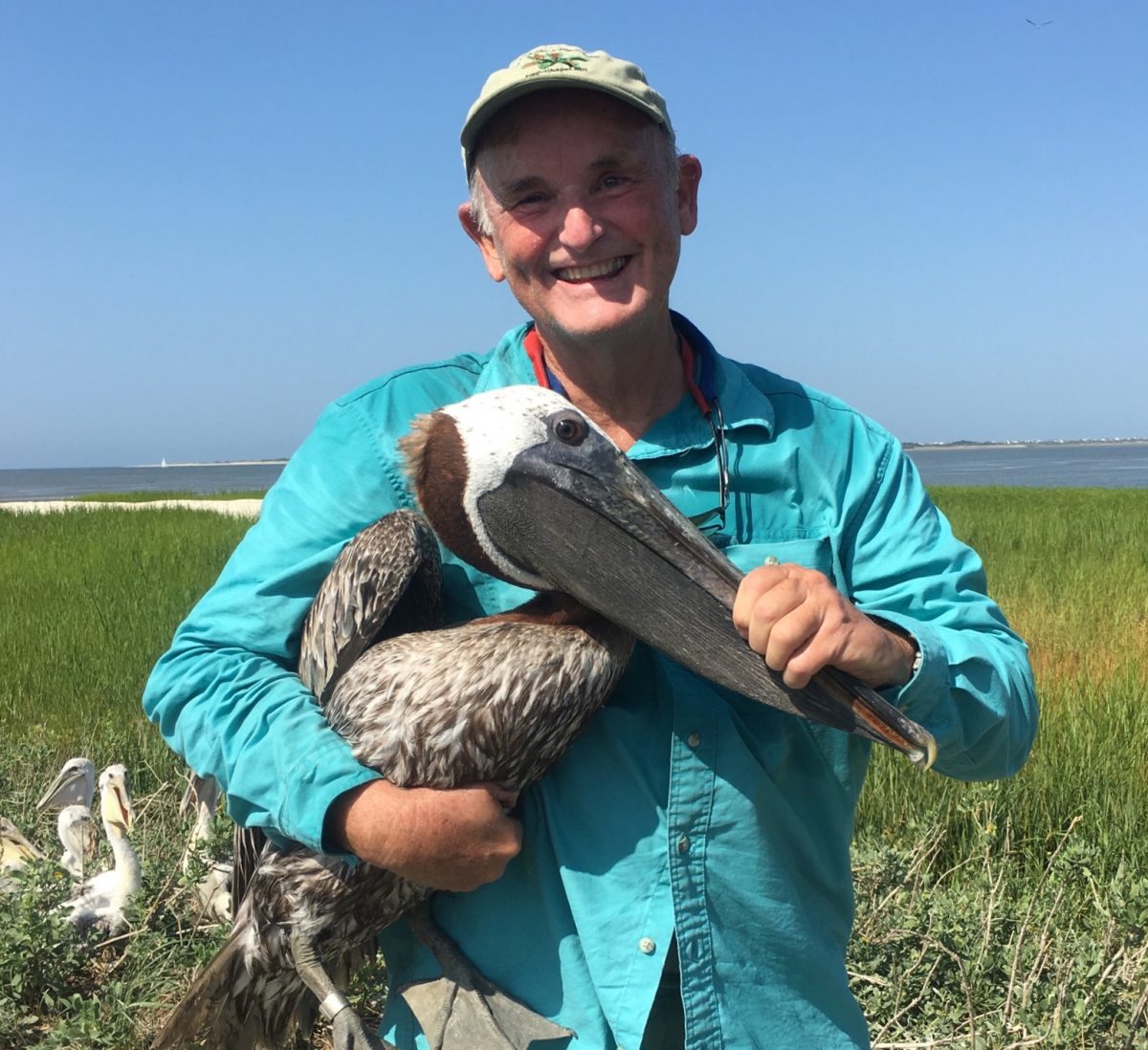 Board of Directors | North Carolina Coastal Federation