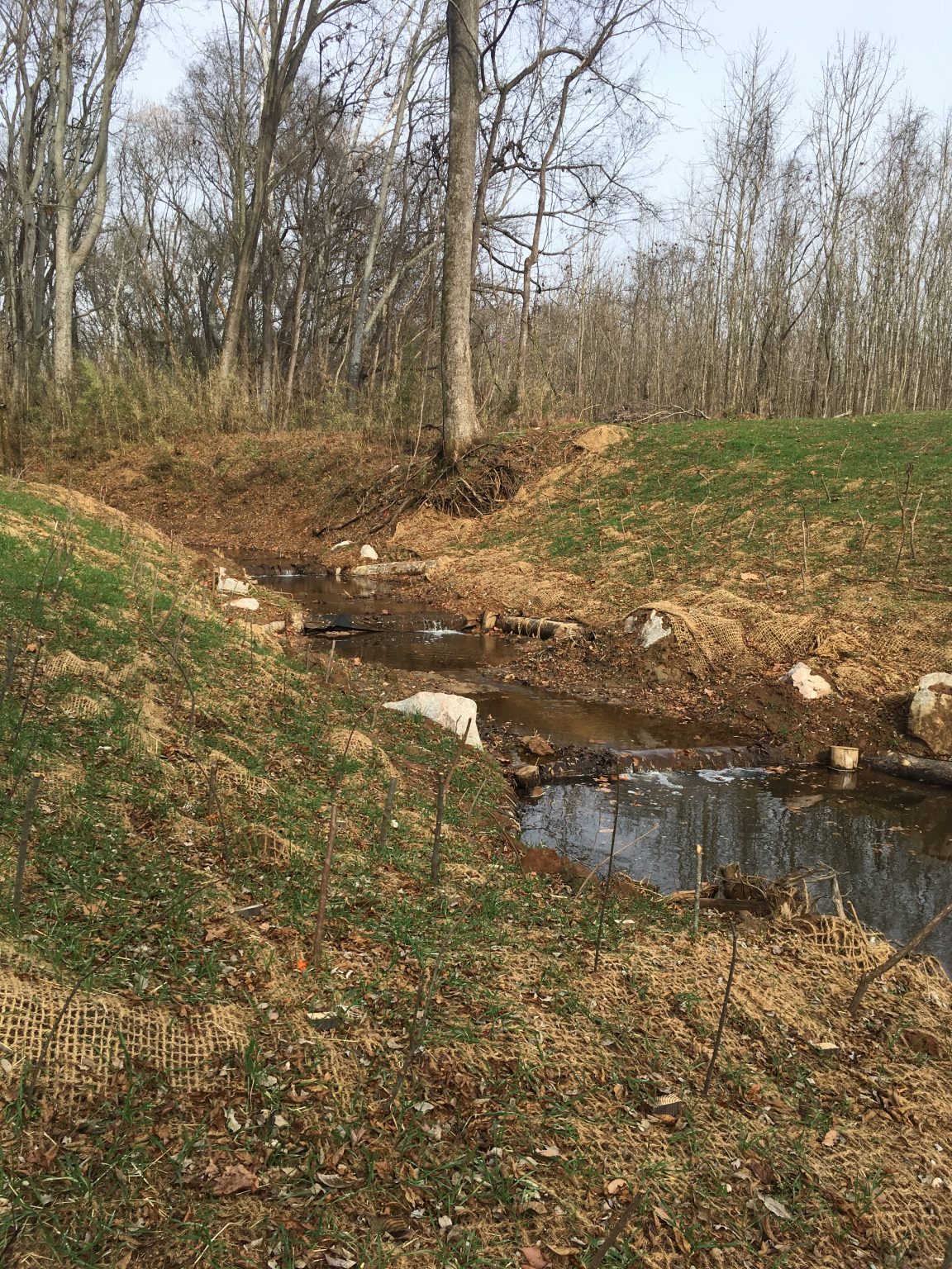 Large Scale Wetland Restoration (NRCS) | North Carolina Coastal Federation