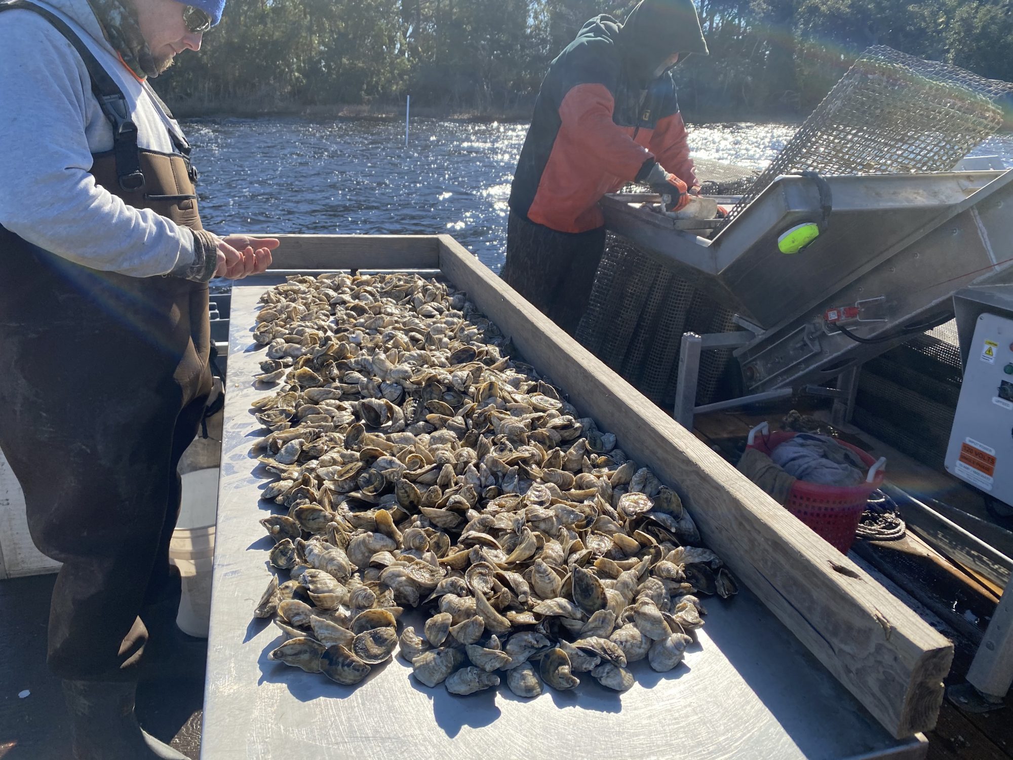Stump Sound Watershed Protection | North Carolina Coastal Federation