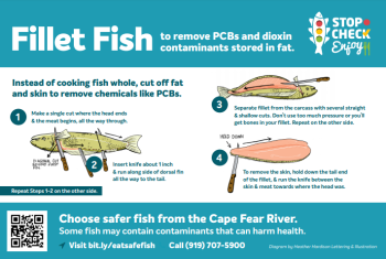Stop, Check, Enjoy! A Guide to Safe Fish Consumption | North Carolina ...