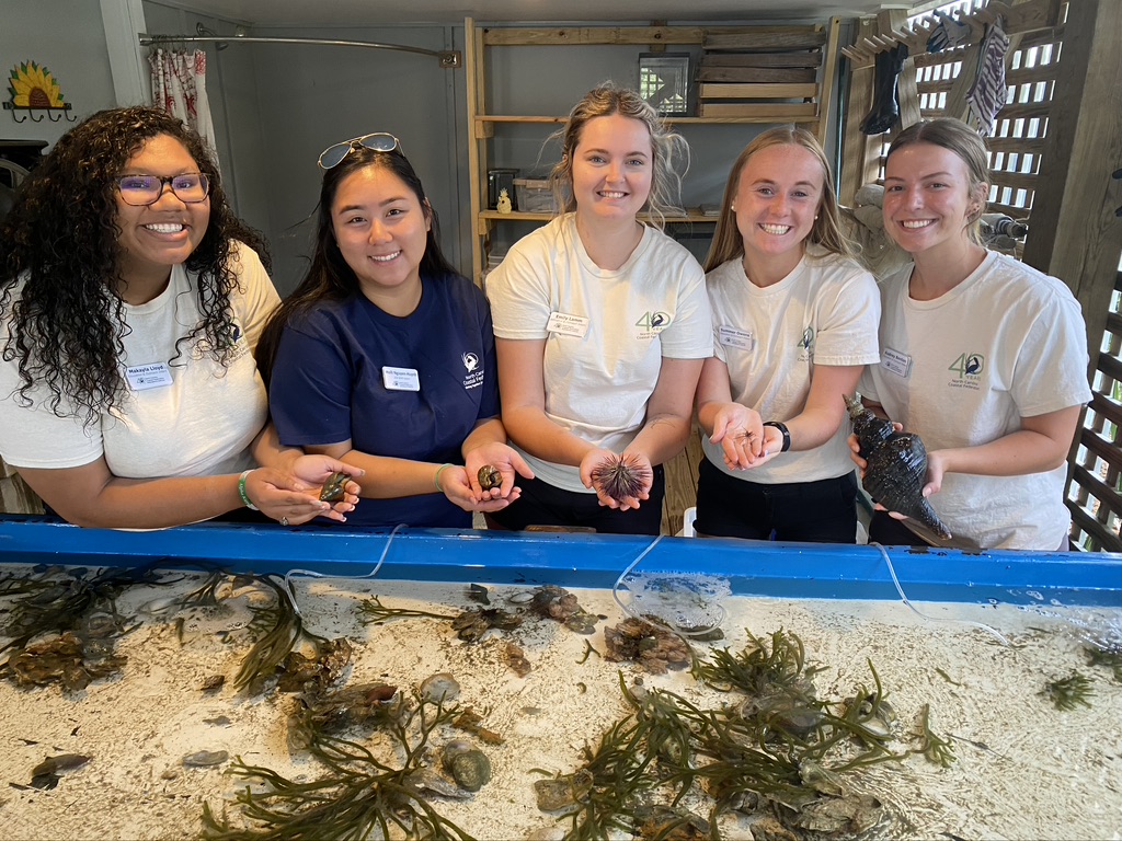Internships | North Carolina Coastal Federation