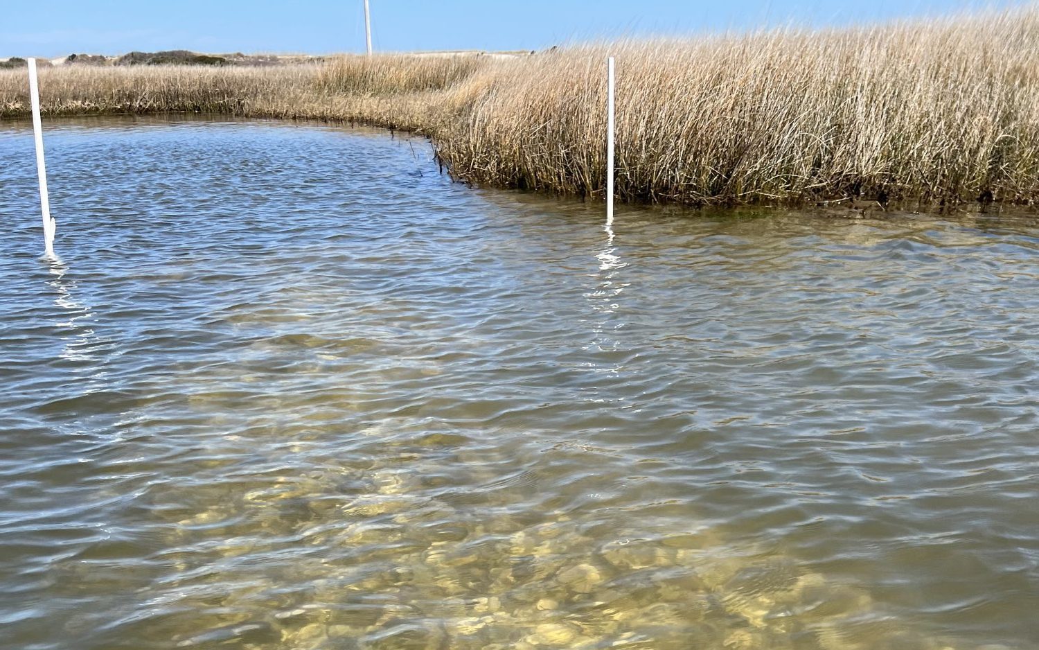 Restaurant to Reef Program | North Carolina Coastal Federation