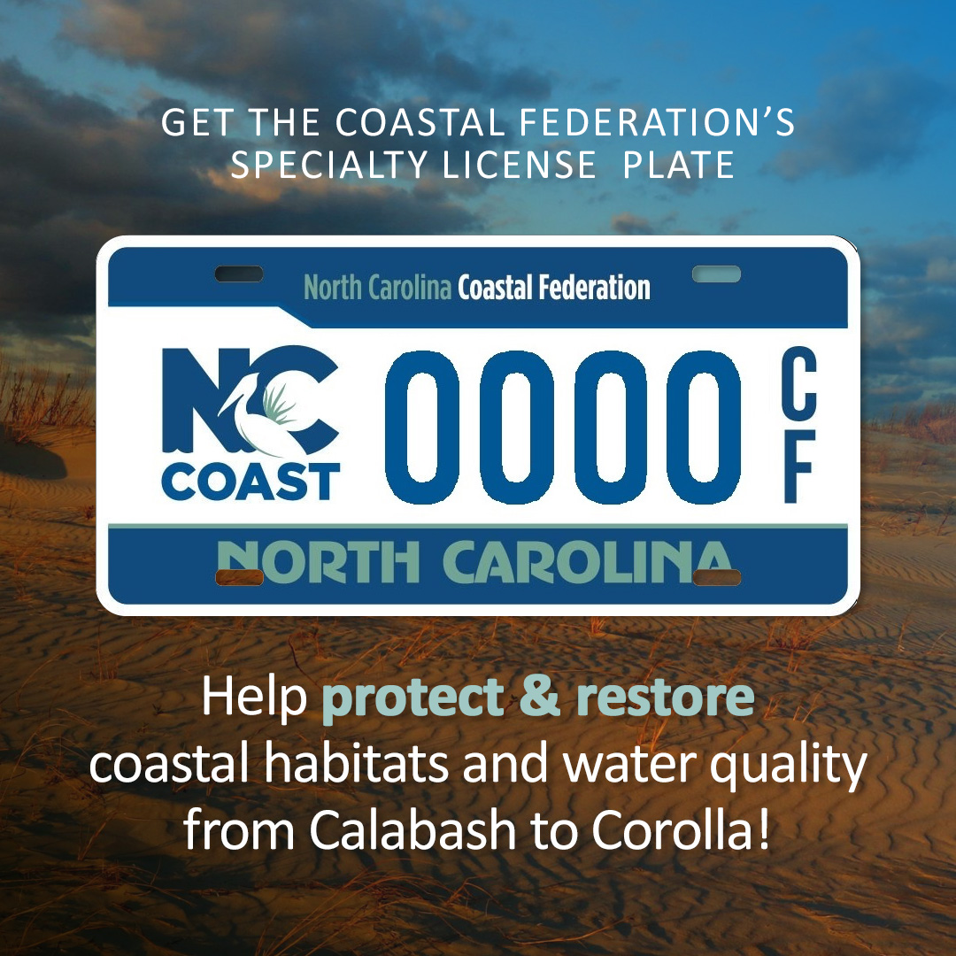 Get Involved | North Carolina Coastal Federation