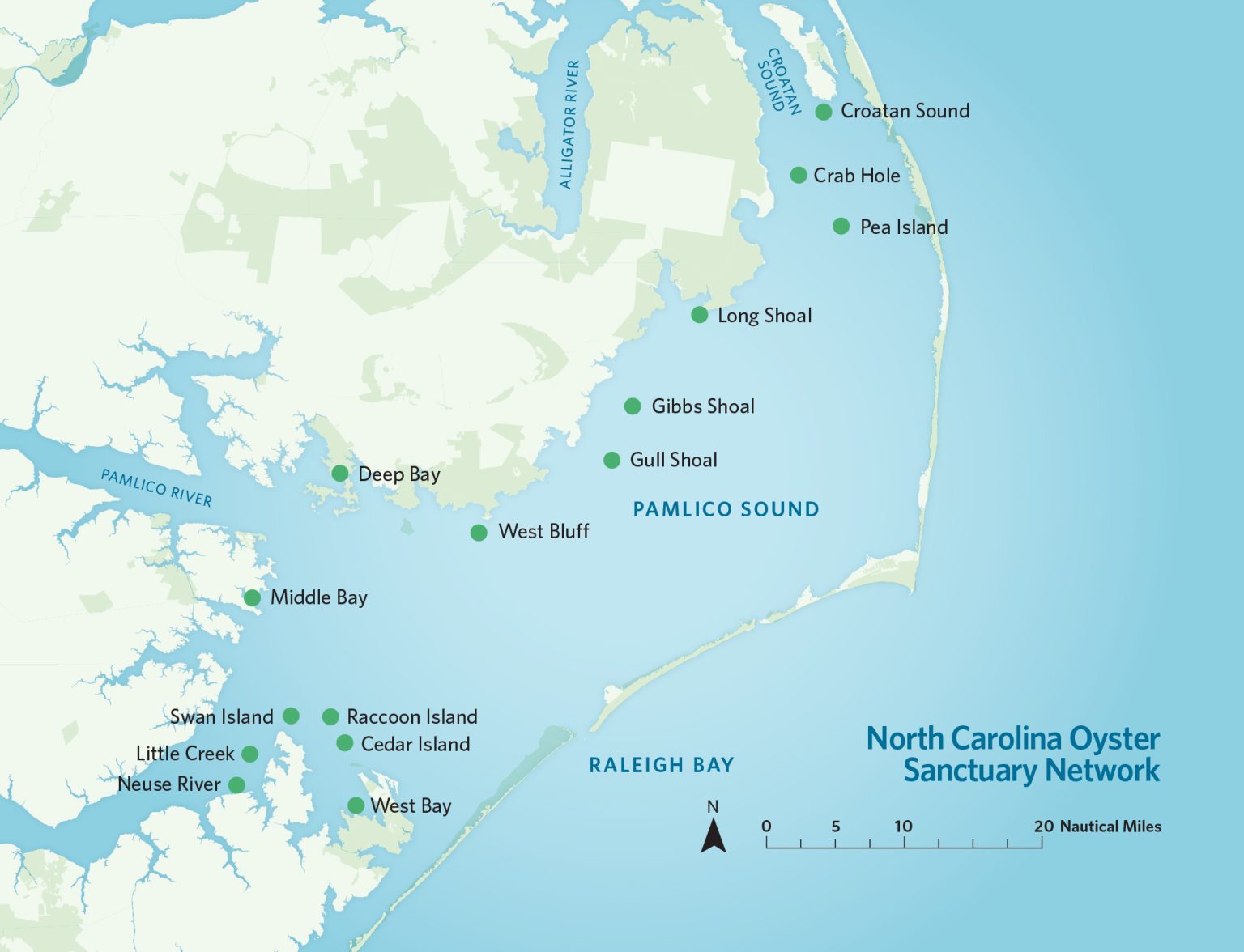 Oysters | North Carolina Coastal Federation