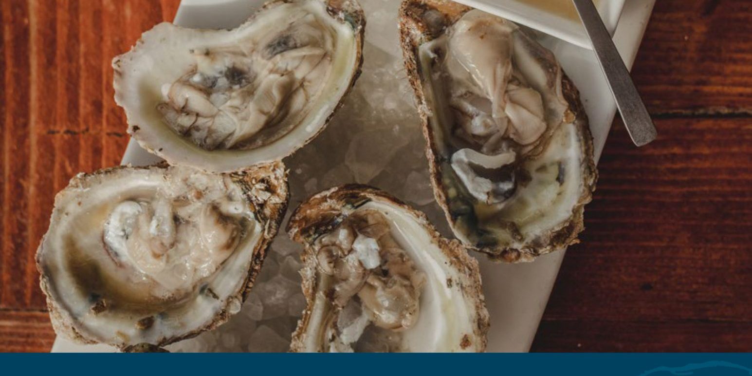 State of the Oyster Report 2021 | North Carolina Coastal Federation