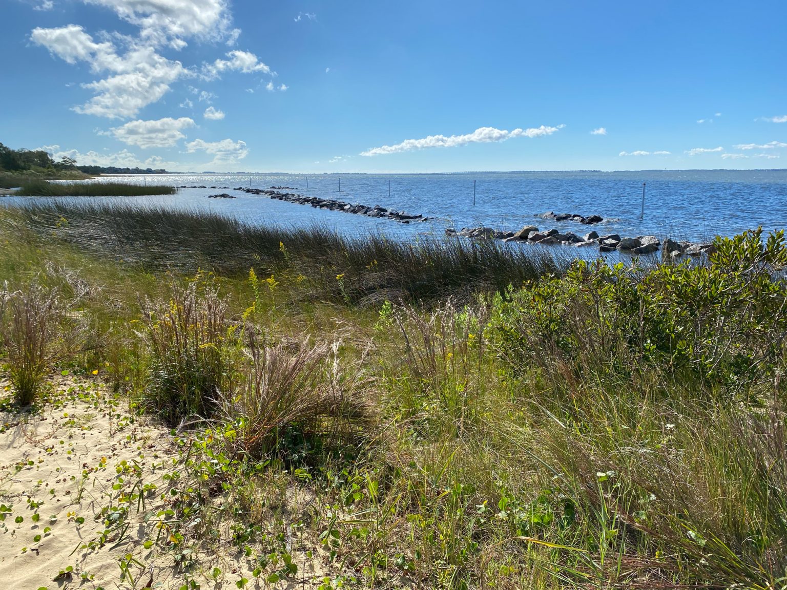 Living Shorelines | North Carolina Coastal Federation