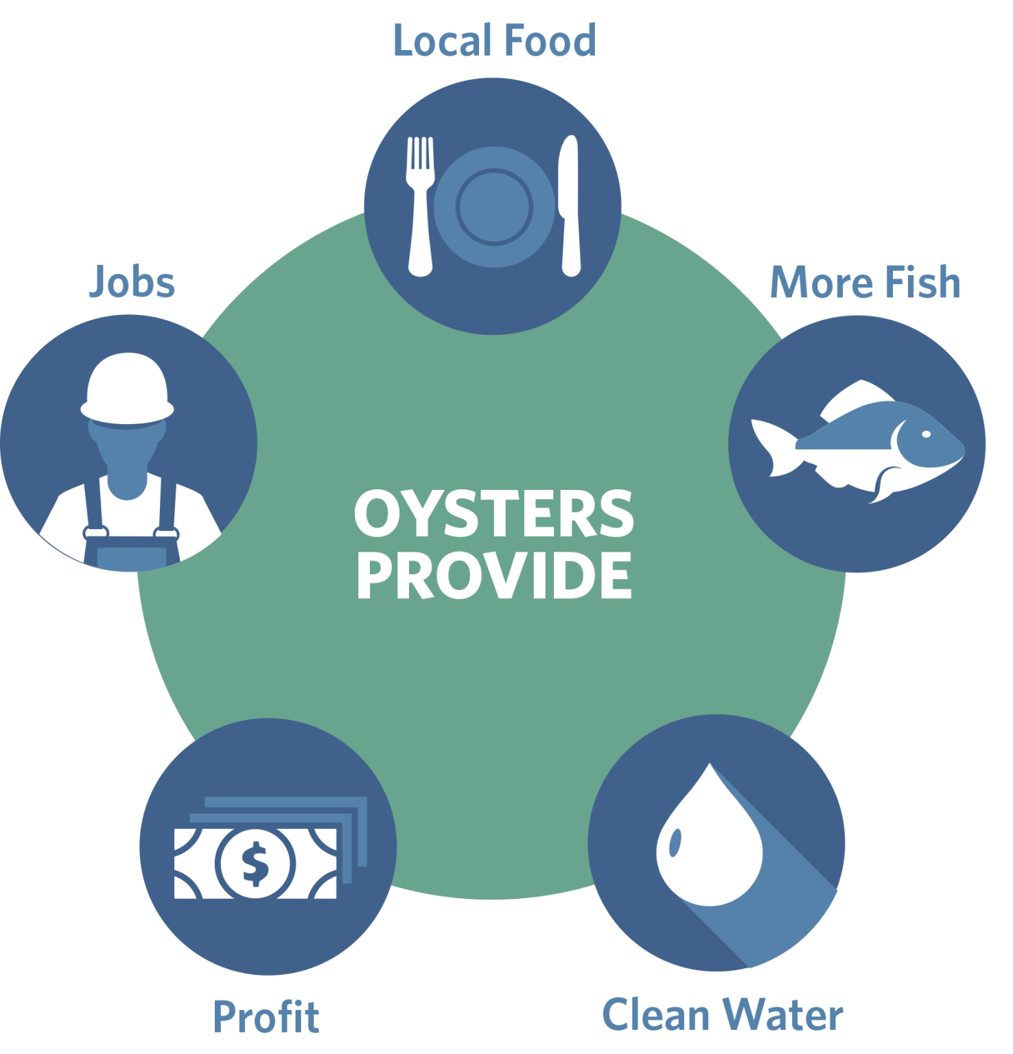 Oysters | North Carolina Coastal Federation
