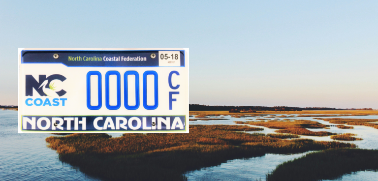 North Carolina Coastal Federation | Working Together for a Healthy Coast