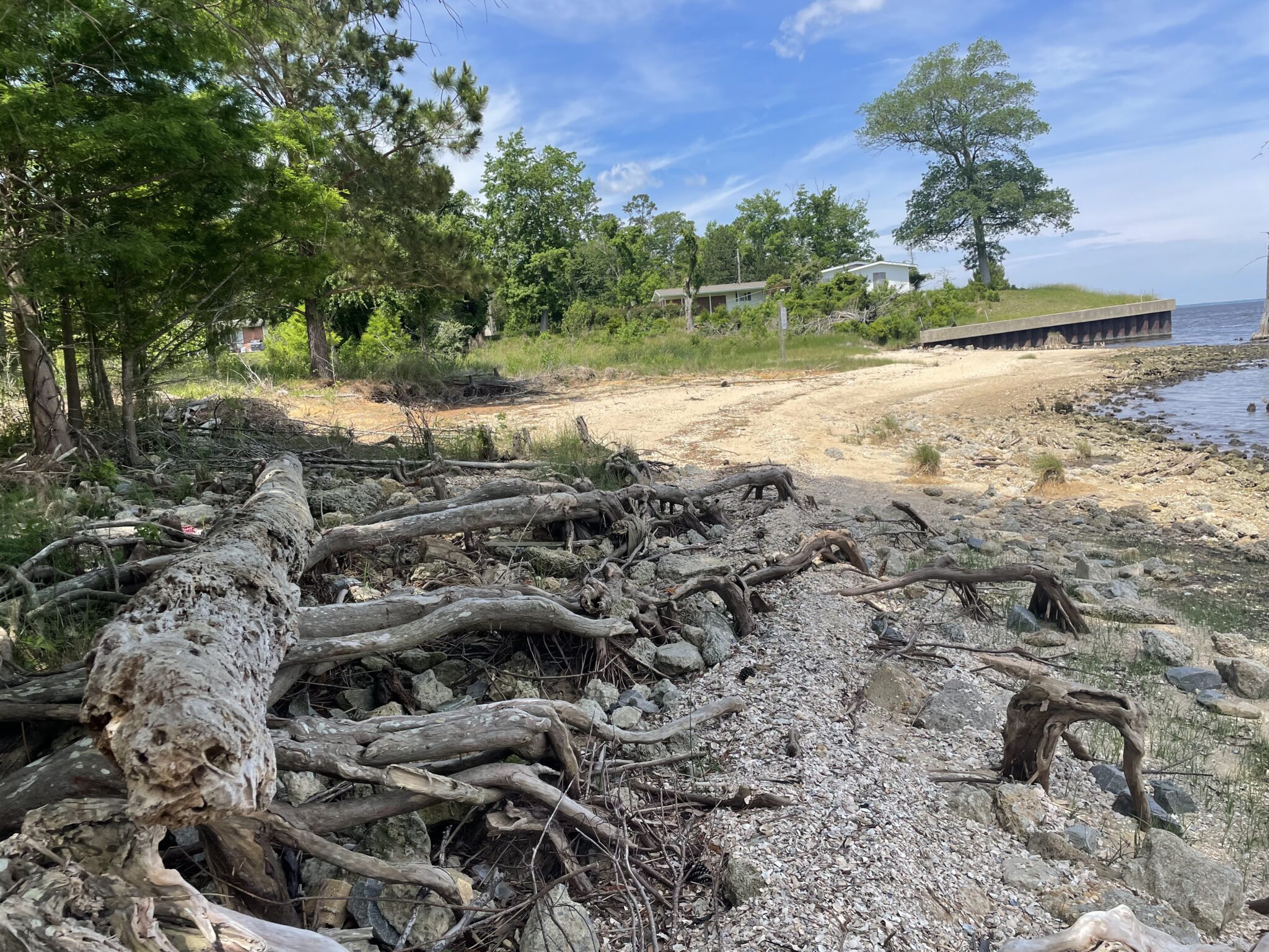 Marine Corps Air Station Cherry Point Living Shoreline | North Carolina ...