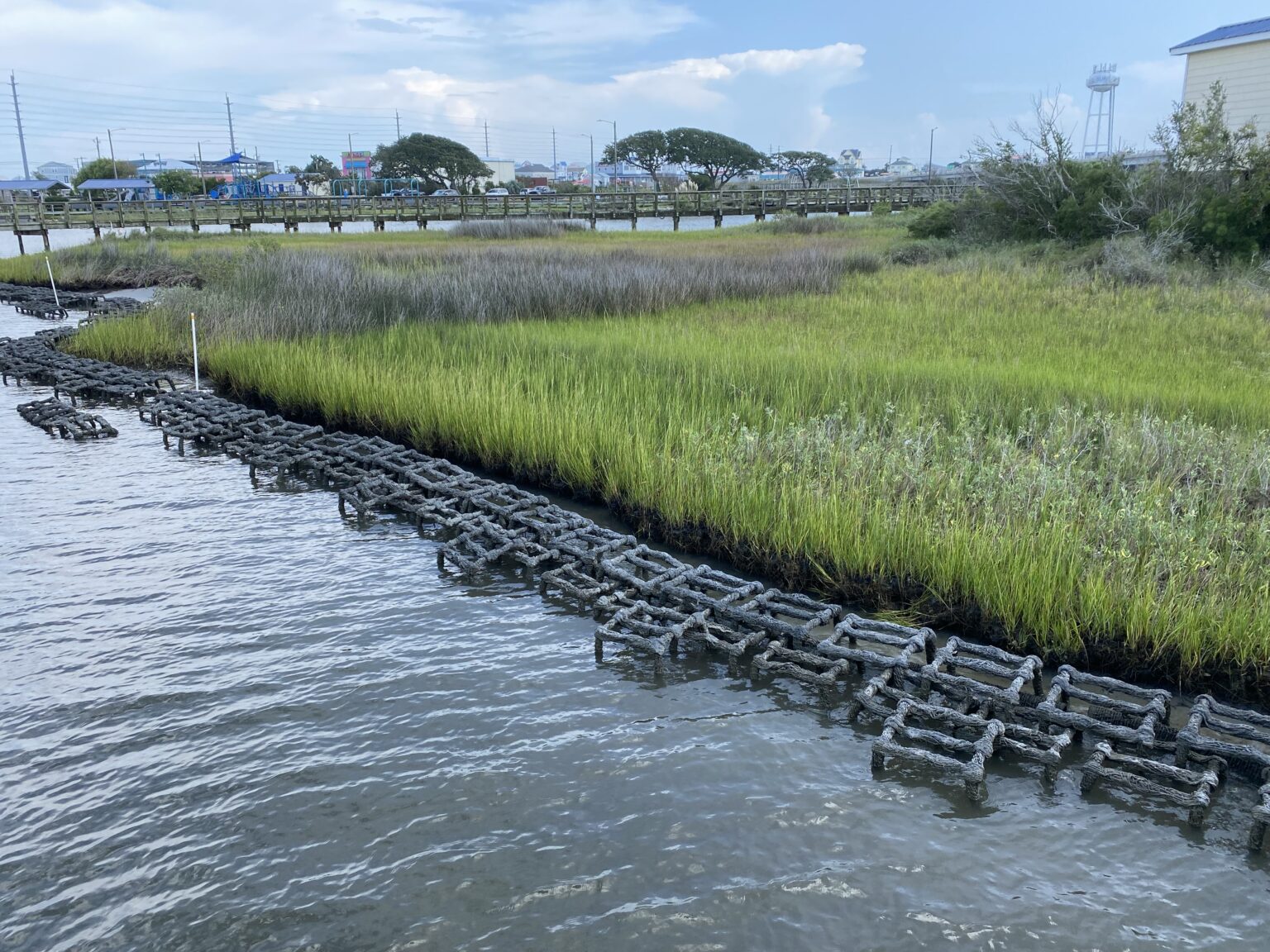 NC Aquarium at Pine Knoll Shores Living Shoreline | North Carolina ...