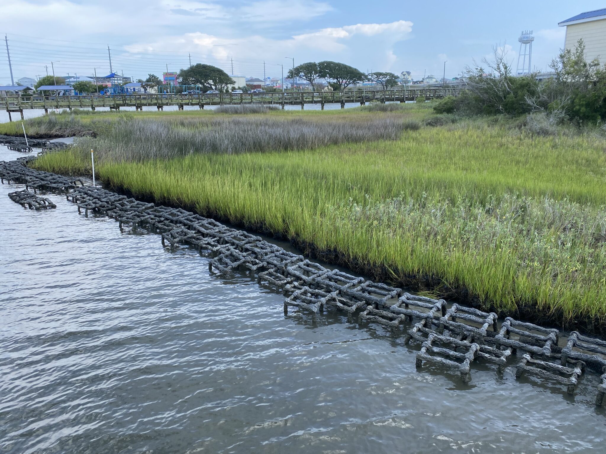 NC Aquarium at Pine Knoll Shores Living Shoreline | North Carolina ...